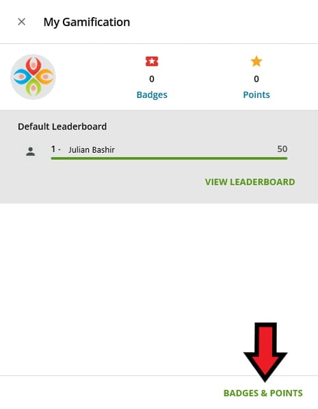 How do I access the gamification features on the new course portal?